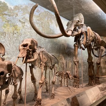 MORRILL HALL - Updated December 2025 - 87 Photos & 34 Reviews - 645 N ...