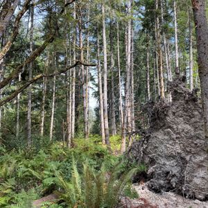 ELD INLET - Updated June 2025 - 11 Photos - Olympia, Washington ...