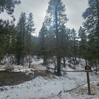 KYLE CANYON PICNIC AREA DAY USE - Updated October 2025 - 65 Photos & 17 ...