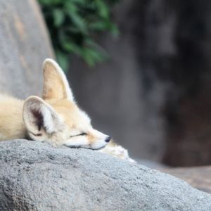 KEIKI KINGDOM - 195 Photos & 75 Reviews - 1460 S Beretania St, Urban ...