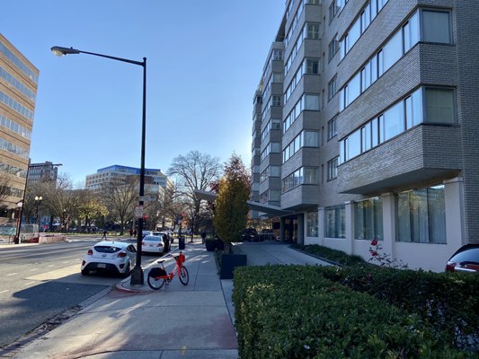 THE DUPONT CIRCLE - THE DOYLE COLLECTION - Updated September 2024 - 239 ...