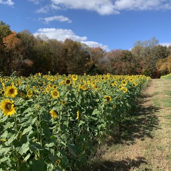 SNEADS FARM - Updated December 2025 - 91 Photos & 41 Reviews - 18294 ...