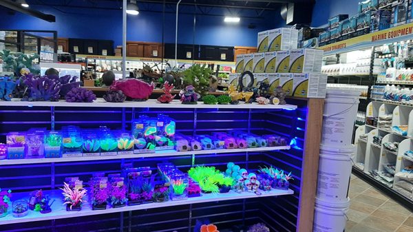 BIG AL’S AQUARIUM SUPERCENTRE - Updated December 2025 - 24 Photos ...