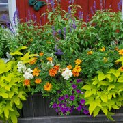 BUTLER’S ORCHARD - 524 Photos & 315 Reviews - Farmers Market - 22222 ...