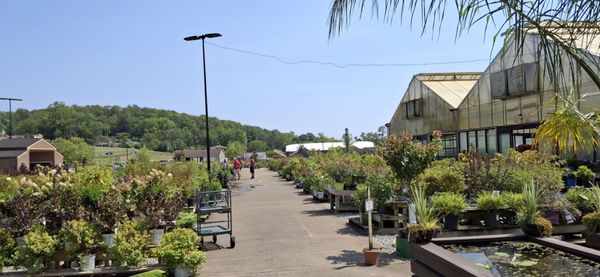 TRAX FARMS - Updated October 2025 - 395 Photos & 99 Reviews - 528 Trax ...