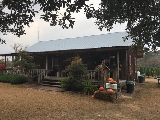 GRANT CHRISTMAS TREE FARM & SYRUP MILL - Updated December 2025 - 12 ...