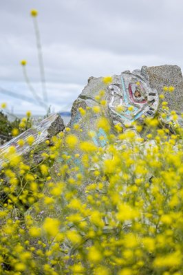 ALBANY BULB - Updated 05/2025 - 999 Photos & 245 Reviews - 1 Buchanan ...