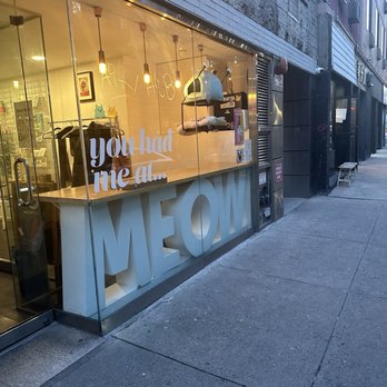 MEOW PARLOUR - Updated July 2025 - 870 Photos & 317 Reviews - 43 Essex ...