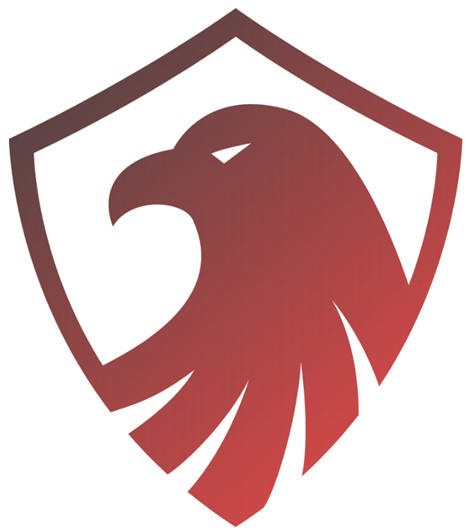 FALCONS NETWORK - Frisco, Texas - IT Services & Computer Repair - Phone ...