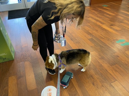 OCEAN SUBARU OF FULLERTON - Updated December 2025 - 381 Photos & 716 ...