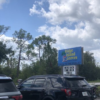 RIDGE ISLAND GROVES - Updated December 2025 - 192 Photos & 33 Reviews ...