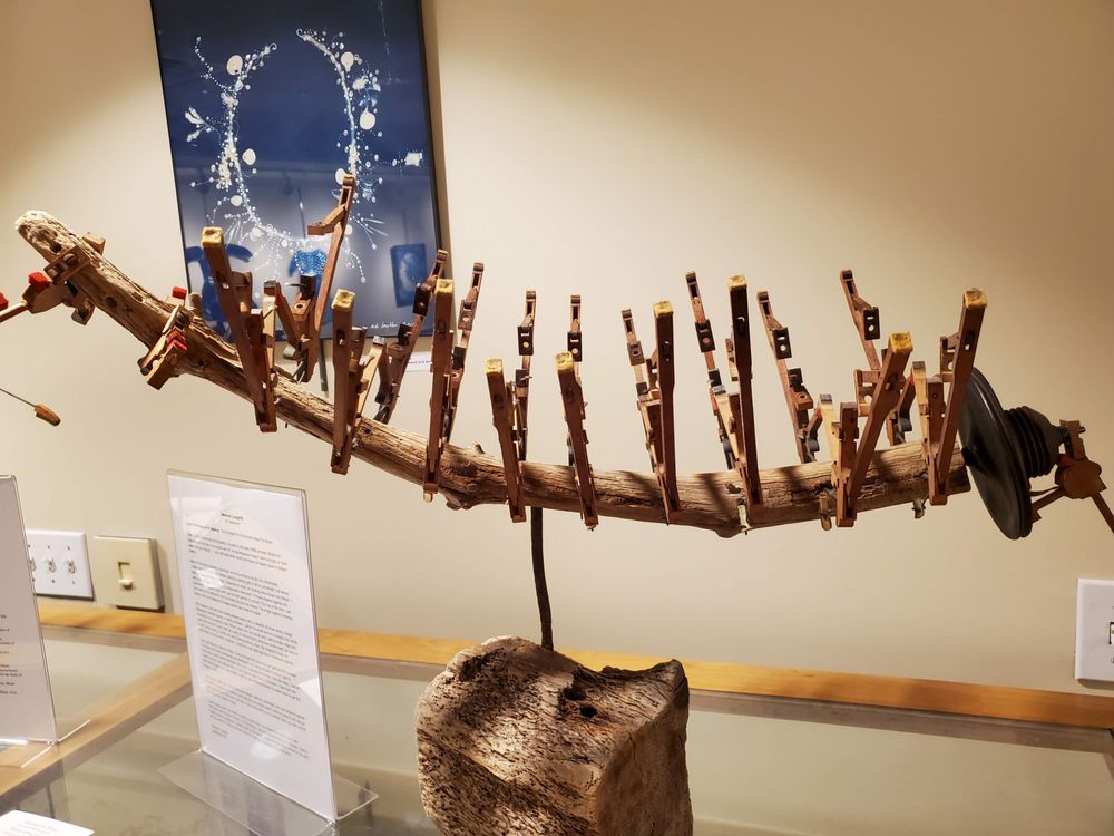 CAMDEN PUBLIC LIBRARY - Updated September 2025 - 45 Photos - 55 Main St ...