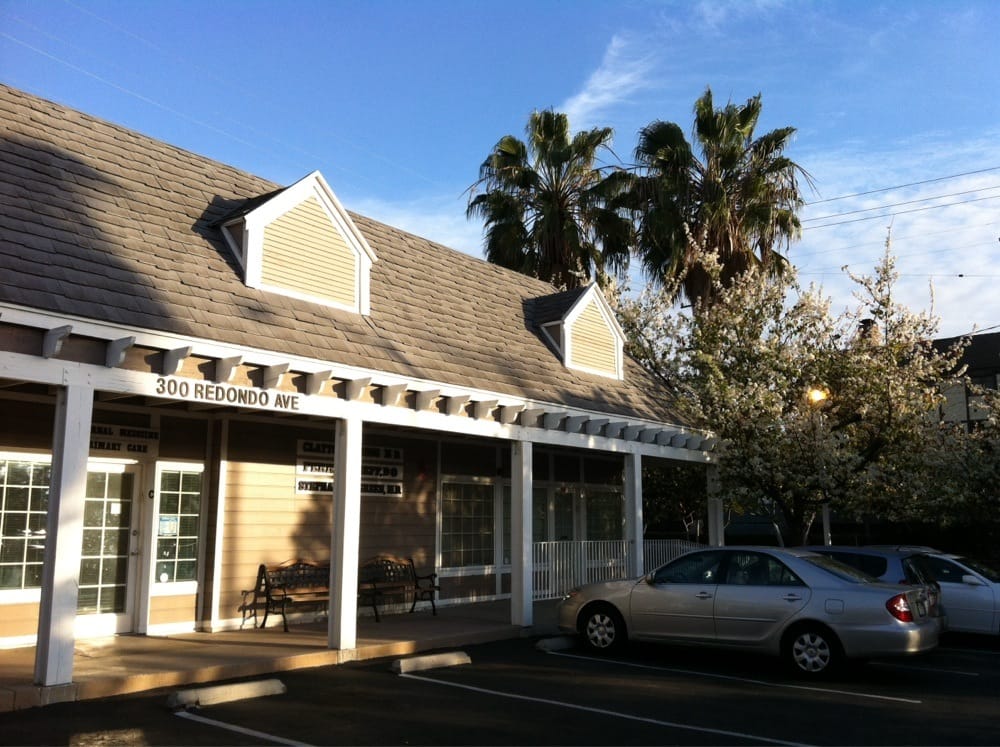 DR. STEPHANIE GREEN - Updated October 2025 - 66 Reviews - 300 Redondo ...