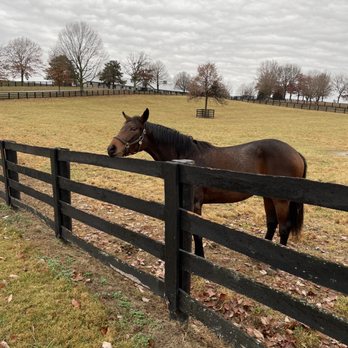 MILL RIDGE FARM - Updated October 2025 - 73 Photos & 16 Reviews - 2800 ...