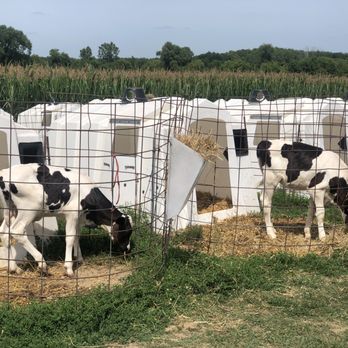 CROOKED CREEK FARM DAIRY - Updated October 2025 - 58 Photos & 14 ...