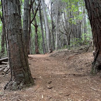 WAIHOU SPRING TRAIL - Updated December 2025 - 70 Photos & 22 Reviews ...