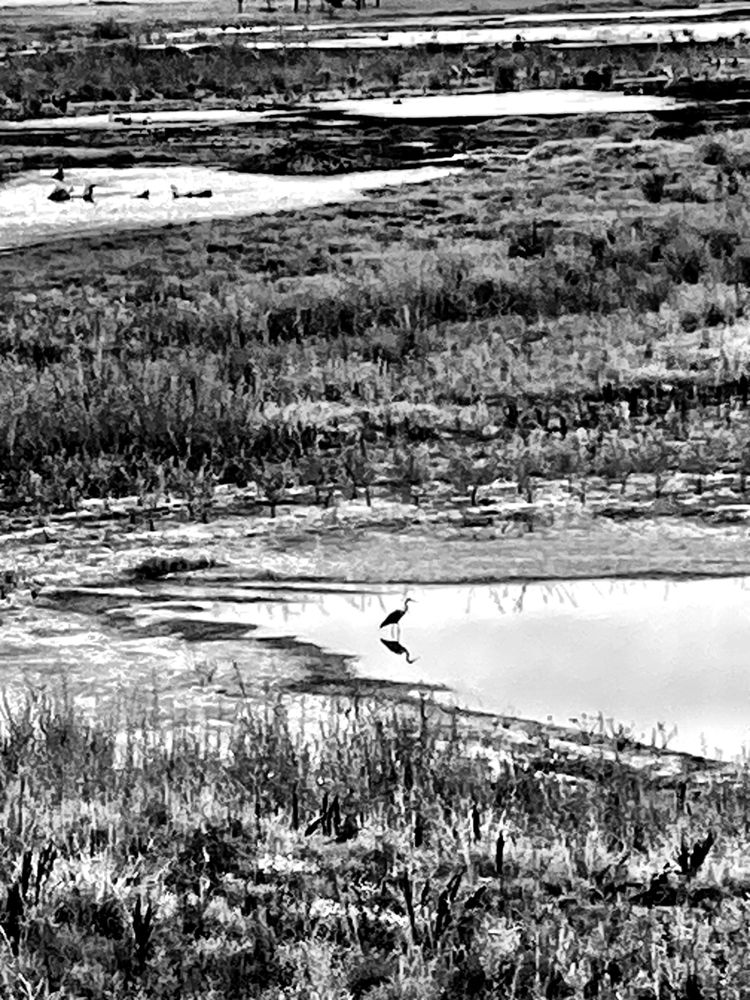 STEIGERWALD LAKE NATIONAL WILDLIFE REFUGE - Updated 2024 - 103 Photos ...
