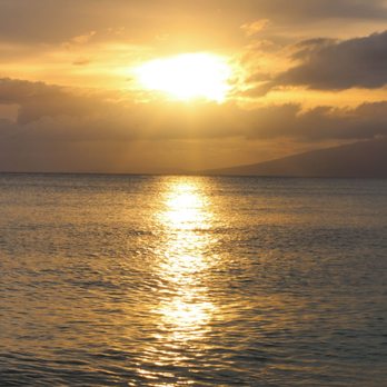 POHAKU PARK S-TURNS - Updated September 2025 - 52 Photos & 15 Reviews ...