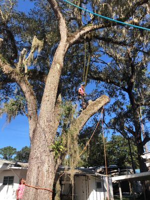 JON DAVIS TREE SERVICE - Updated October 2025 - 18 Photos - 18200 ...