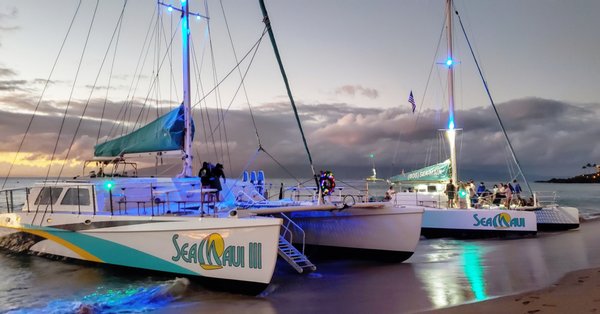 SEA MAUI - Updated July 2025 - 888 Photos & 1068 Reviews - 2435 ...