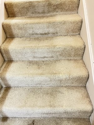 Tom Drexler - Updated January 2026 - 63 Photos - 225 Reviews - 3718 ...