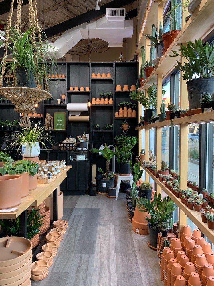 THE PLANT HOUSE - Updated July 2025 - 73 Photos & 14 Reviews - 22801 ...