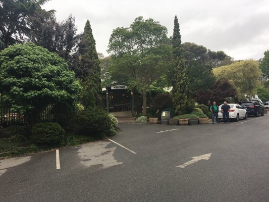 NEWMAN’S NURSERY AND GARDENS - Updated October 2025 - N East Rd, Tea ...