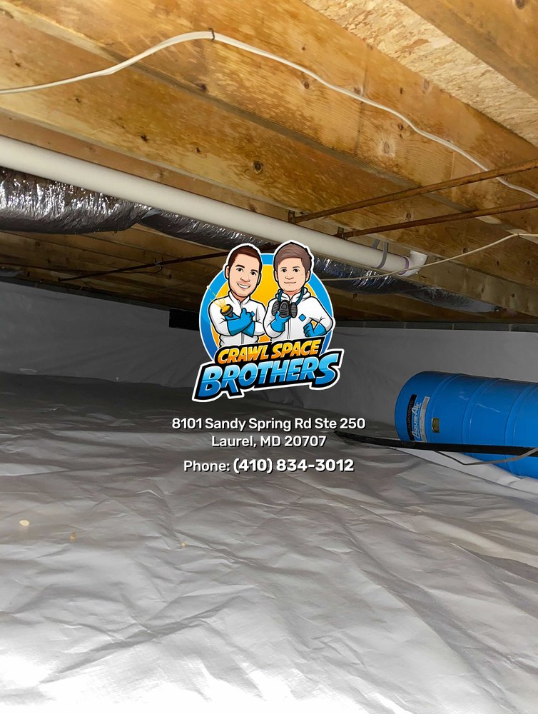 CRAWL SPACE BROTHERS - Updated January 2025 - 85 Photos - 8101 Sandy ...