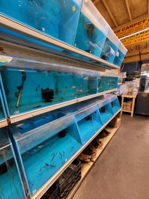 FISH WAREHOUSE - Updated October 2025 - 82 Photos & 24 Reviews - 14845 ...