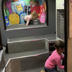 IMAGINE CHILDREN’S MUSEUM - 156 Photos & 178 Reviews - Children's ...