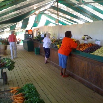 ED LESTER FARMS - Updated December 2025 - 36 Photos - 1165 Hwy 84 E ...