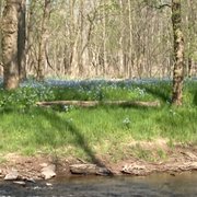 BULL RUN REGIONAL PARK - 102 Photos & 54 Reviews - 7700 Bull Run Dr ...