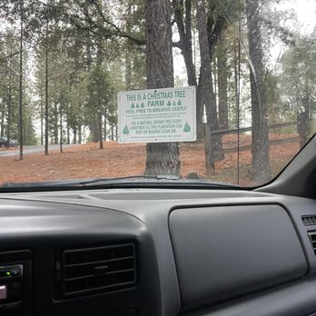 NORTH STAR TREE FARM - Updated October 2025 - 58 Photos & 31 Reviews ...
