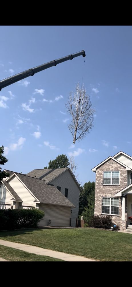 XTREME TREE TEAM - Updated July 2025 - 218 Logan Ave W, West Saint Paul ...