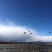 SLOAN’S LAKE PARK - 196 Photos & 105 Reviews - Parks - Sheridan Blvd ...