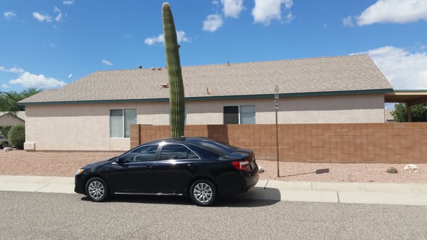 SCOTT ROOFING - Updated January 2026 - 20 Photos & 73 Reviews - 24777 N ...