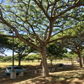 PATSY T MINK CENTRAL OAHU REGIONAL PARK - 319 Photos & 87 Reviews ...