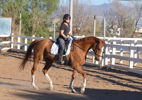 AMAZING GRACE STABLES - Updated October 2025 - 9185 S Buffalo Dr, Las ...