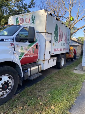 RED OAK TREE SERVICE - Updated January 2026 - 27 Photos & 22 Reviews ...