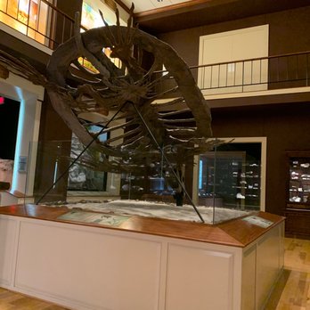 MAYBORN MUSEUM - Updated July 2025 - 192 Photos & 73 Reviews - 1300 S ...