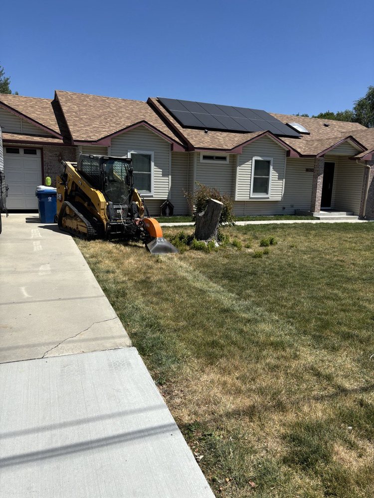 ALPHA ARBOR - Updated December 2024 - Request a Quote - 12 Photos ...