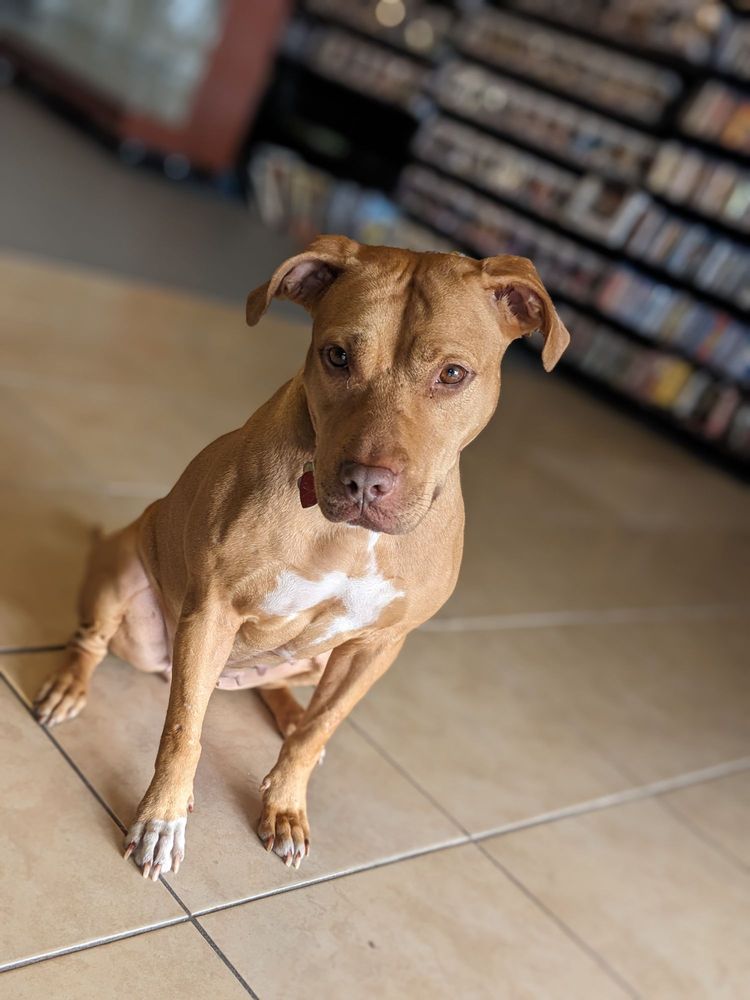 DARK SIDE VIDEO GAMES - Updated January 2026 - 4465 Hoffner Ave ...