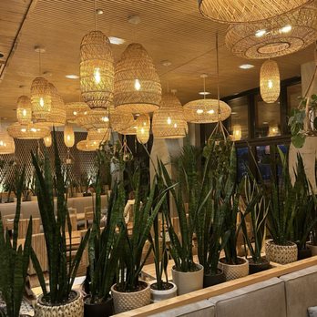 MACANDA - Updated April 2025 - 503 Photos & 188 Reviews - 294 Grove Ln ...