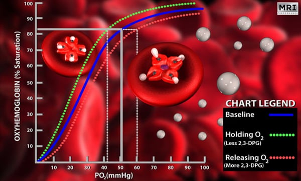 TRINITY AIR AMBULANCE INTERNATIONAL - Updated January 2026 - 16 Photos ...