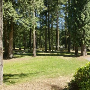 DODGE PARK - 16 Photos - 10991 SE Lusted Rd, Sandy, Oregon - Parks ...