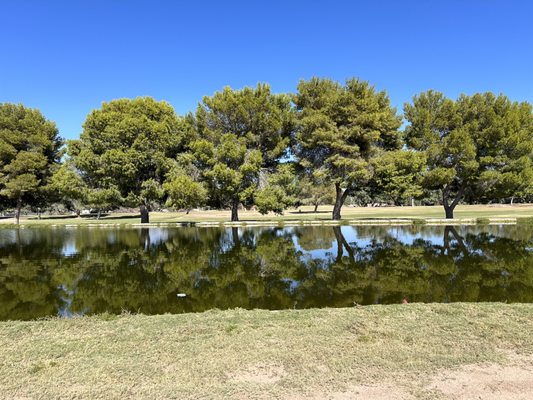 EL RIO GOLF COURSE - Updated September 2025 - 17 Photos & 18 Reviews ...