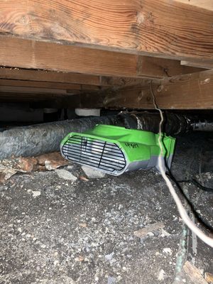 SERVPRO OF EAST DALLAS - Updated August 2025 - 24 Photos - 8242 Moberly ...