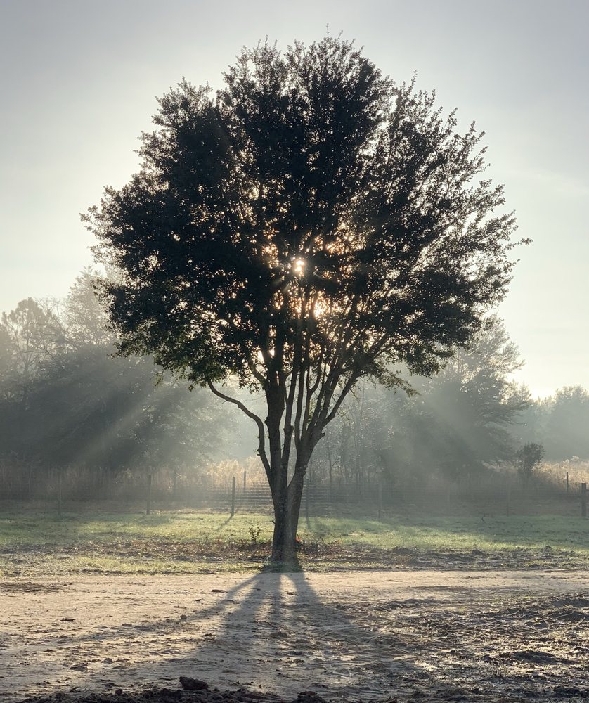 CHRISTOPHER GLEASON - PATCH REEF INTERNATIONAL REALTY - Updated May ...