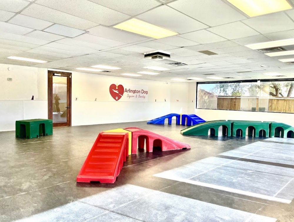 ARLINGTON DOG DAYCARE & BOARDING - Updated December 2025 - Request an ...