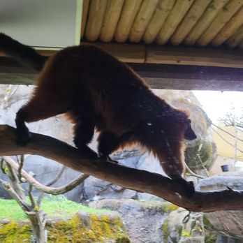 OREGON ZOO - Updated February 2025 - 3395 Photos & 931 Reviews - 4001 ...